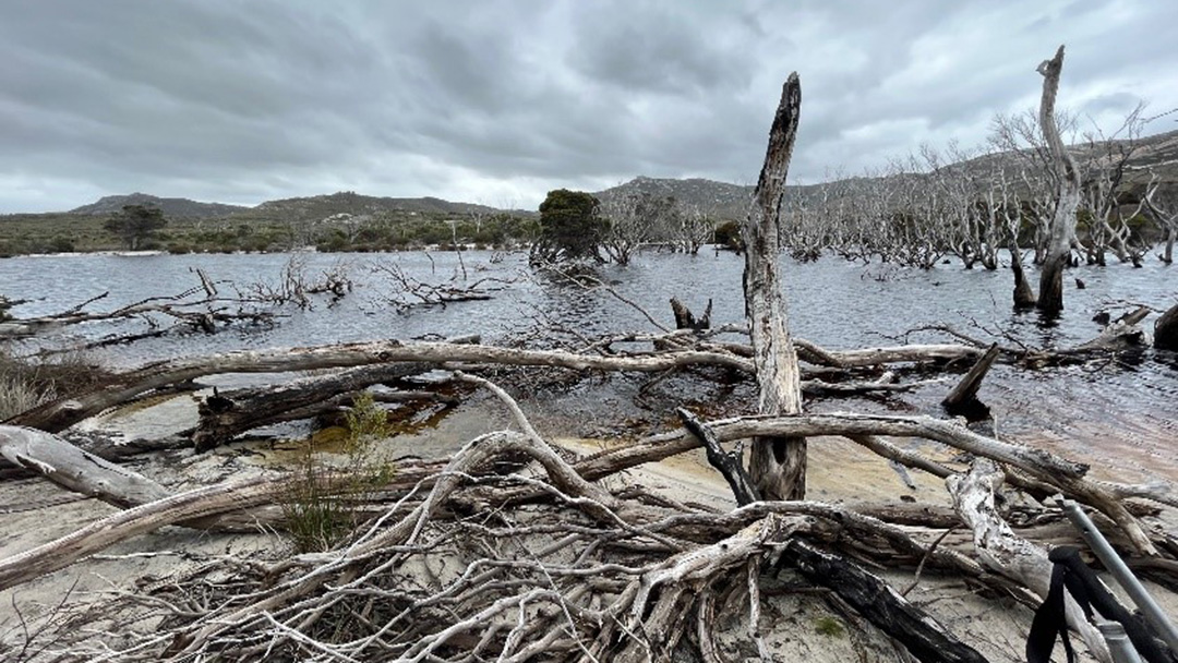 Charcoal and pollen from old lakes - Land Bridge